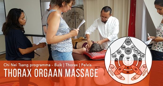 Thorax Orgaan Massage Workshop Chi Nei Tsang Voor De Thorax Yin Yang