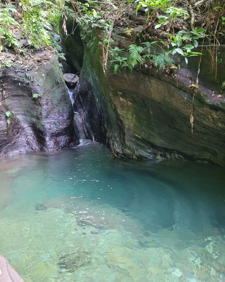 Hike to Covigne Gorges, Covigne Gorges, Port Of Spain, 17 February 2024 ...