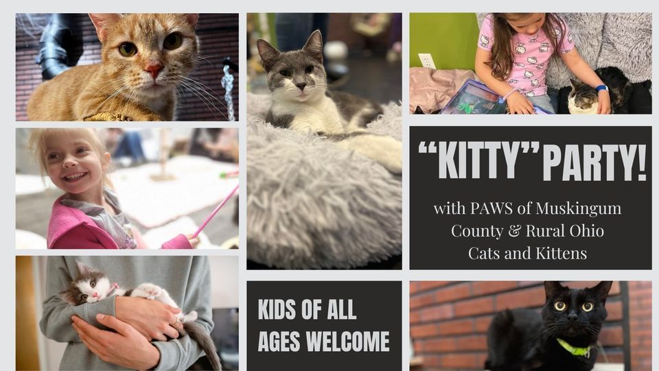 Kitty Party! Kids of all ages welcome, Colony Square Mall, White ...