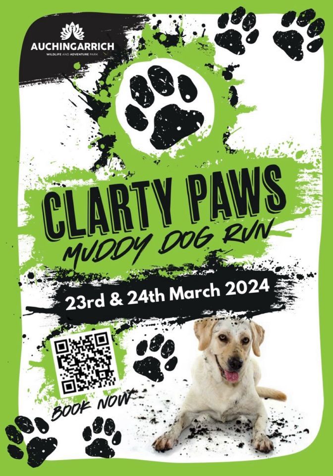 Clarty Paws Muddy Dog Run, Auchingarrich Wildlife Park, Comrie, March ...
