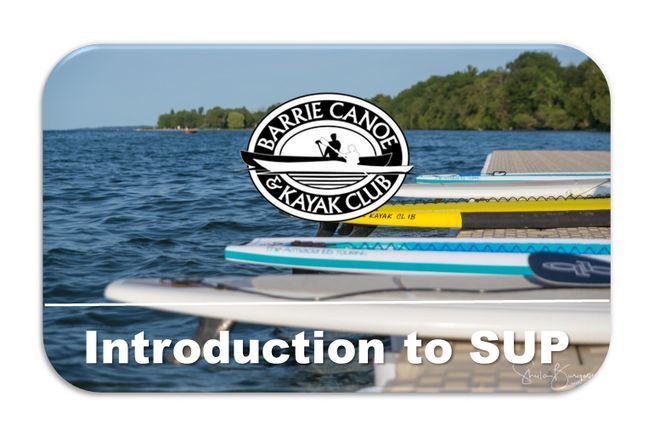 Introduction To Sup Barrie Canoe And Kayak Club July 9 2022