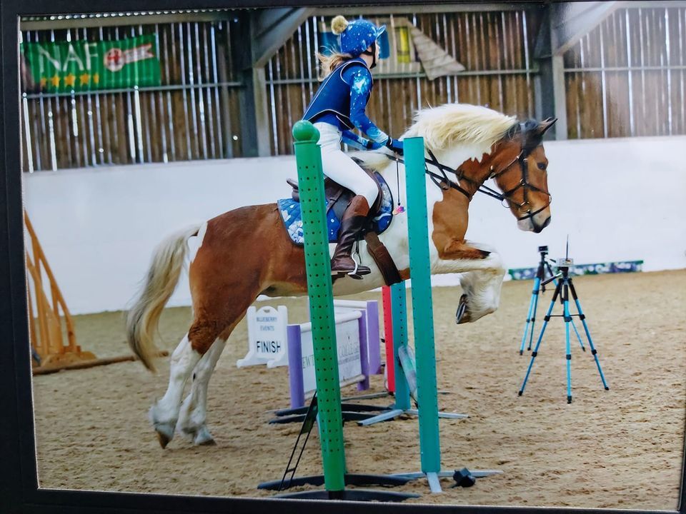 Cant Jump Wont Jump Winter Series - DOUBLE POINTS!, Askham Bryan Equine ...