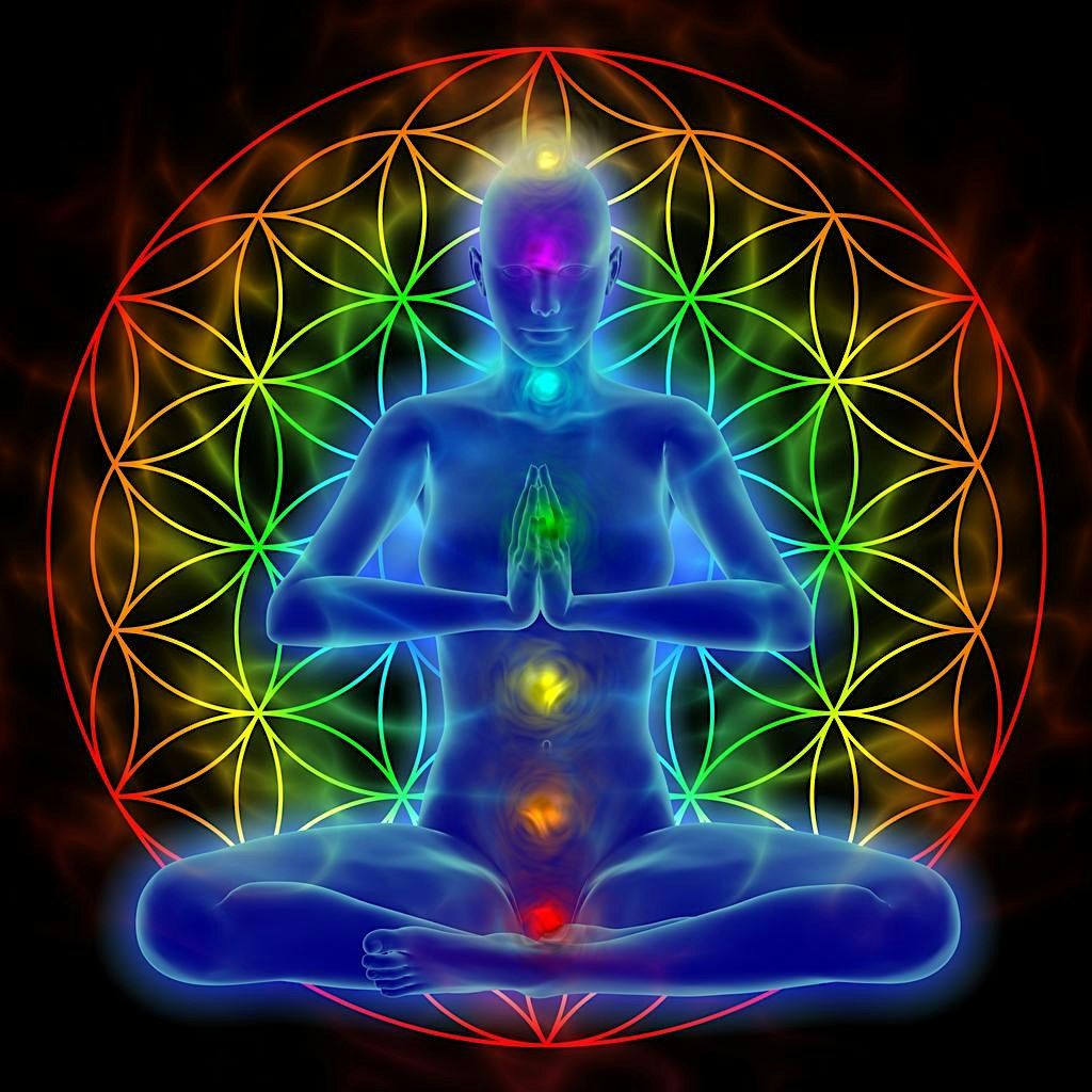 Chakra Rebirth - Healing the Chakras Rose Catmull – Intuitive Psychic ...