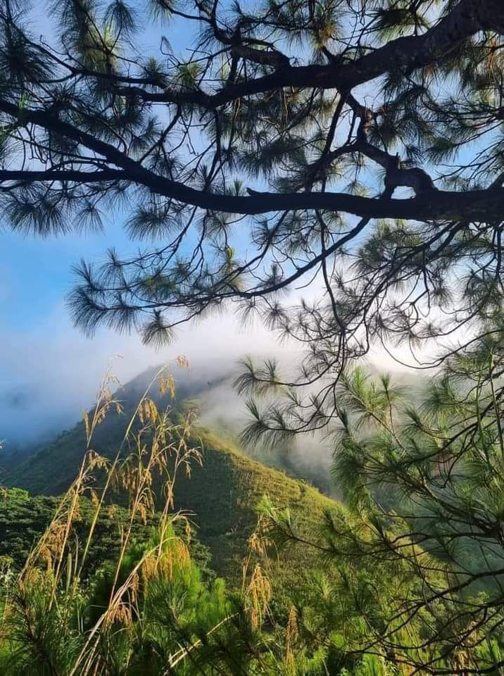 Mt Pigingan dayhike/Dec 8 , Mt. Pigingan, Dalupirip, Itogon, Benguet ...