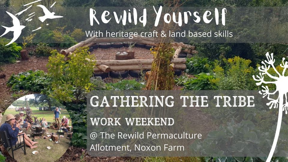 Gathering The Tribe Work Weekend, Noxon Farm, Lydney, March 22 2024 ...