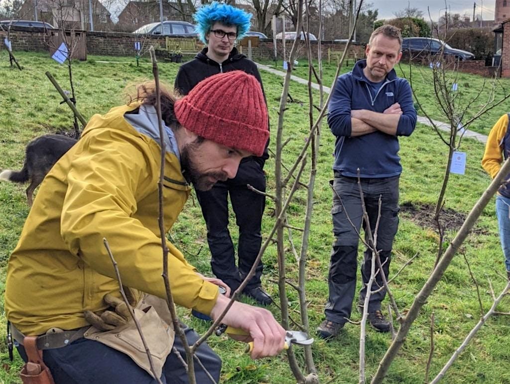 Winter Pruning Workshop, Crosstown Community Orchard, Knutsford, 31 ...