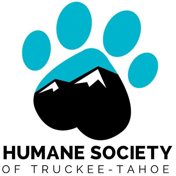 RUFF (Read Up For Fun) with our reading dogs!, South Lake Tahoe Library ...