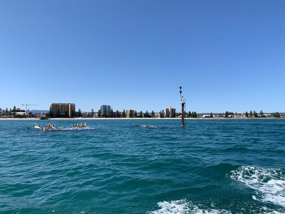 Modbury Plaza Hotel Boat and Jet ski licence session , Modbury Plaza ...
