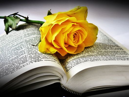 Service of Thanksgiving and Remembrance, Pilrig St Paul's Church ...