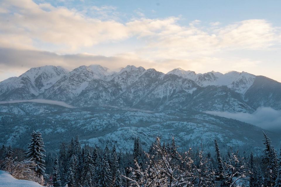 Meier Ski Demos, Purgatory Resort, Durango, March 2 2024 | AllEvents.in