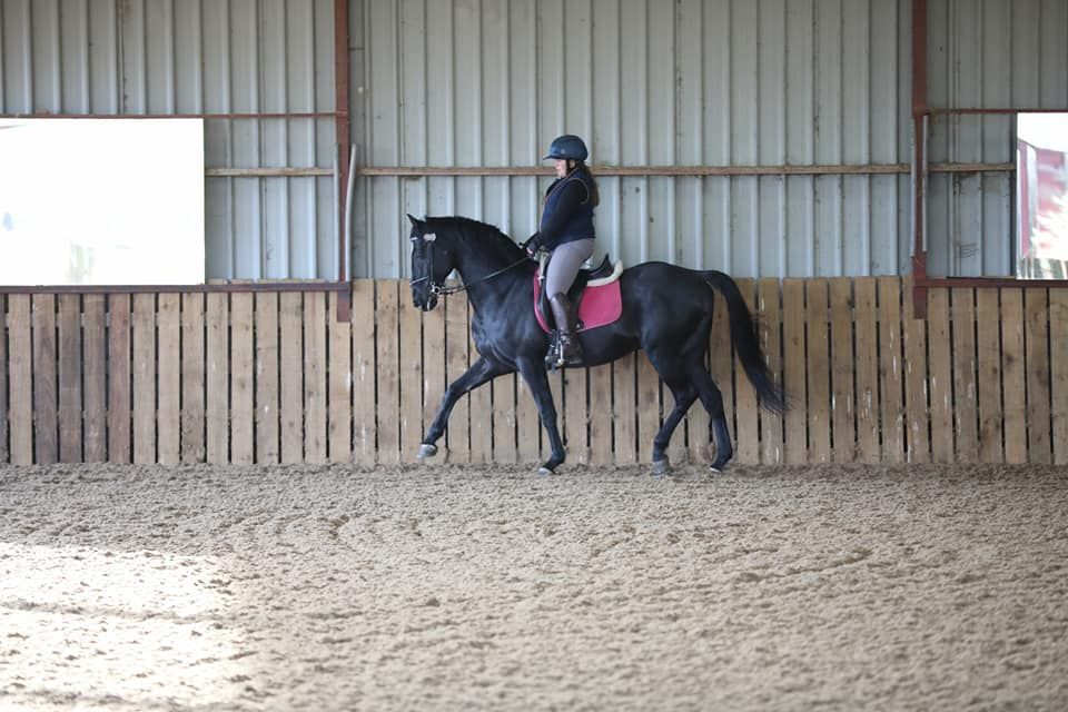 Afternoon Dressage, Tumpy Green Equestrian & Competition Centre, Lydney ...