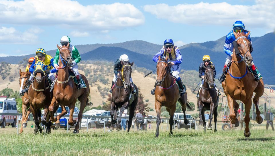 Community Bank Mount Beauty & District - Dederang Picnic Races 2024 ...