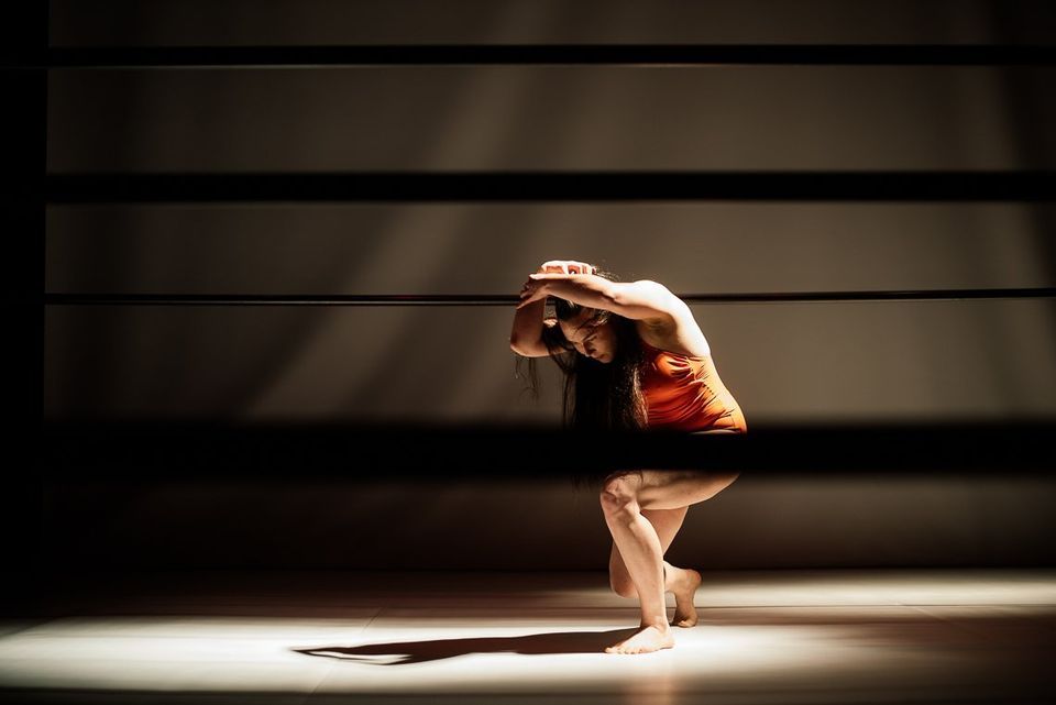 NOT A SWAN | | ? | ||, Co.Labs, Brno, November 23 2023 | AllEvents.in