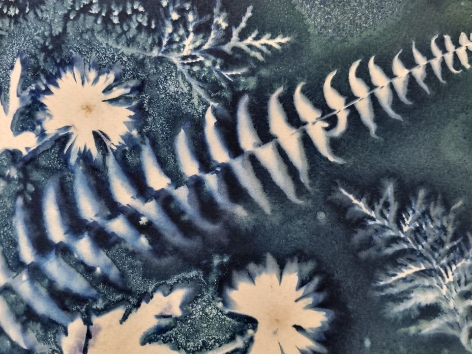 Wet Cyanotypes with Elaine Camlin | Adult Workshop, Unique State Art ...