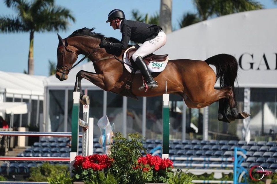 Payne Equestrian - In House Clinic, DPEquestrian LLC (Payne Equestrian ...