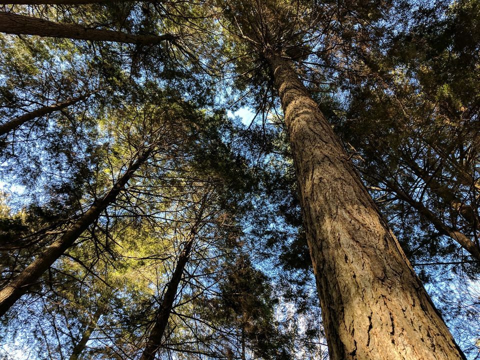 NWOA Annual General Meeting, Delhi District German Home, 443 James ...