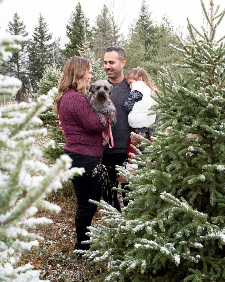 SOLD OUT - Christmas Tree Farm sessions , Chickadee Christmas Trees ...
