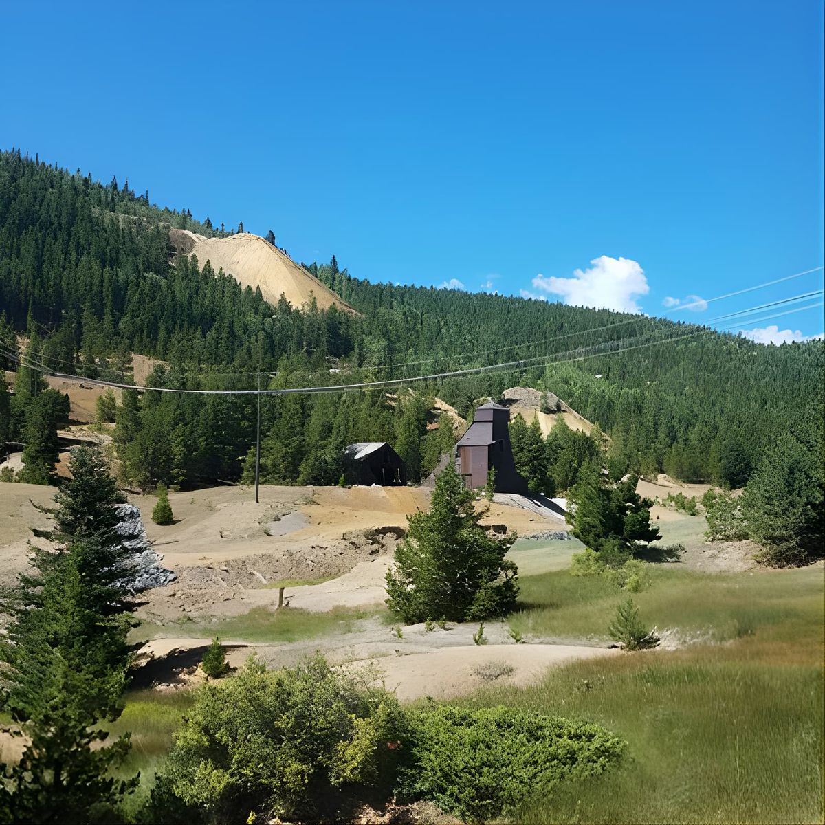 Colorado Gold Rush Mountain and Mine Half-Day Tour from Denver, Union ...