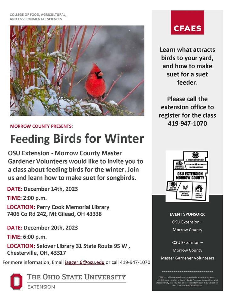Feeding Birds for Winter Suet Make and Take - Must Pre-register ...
