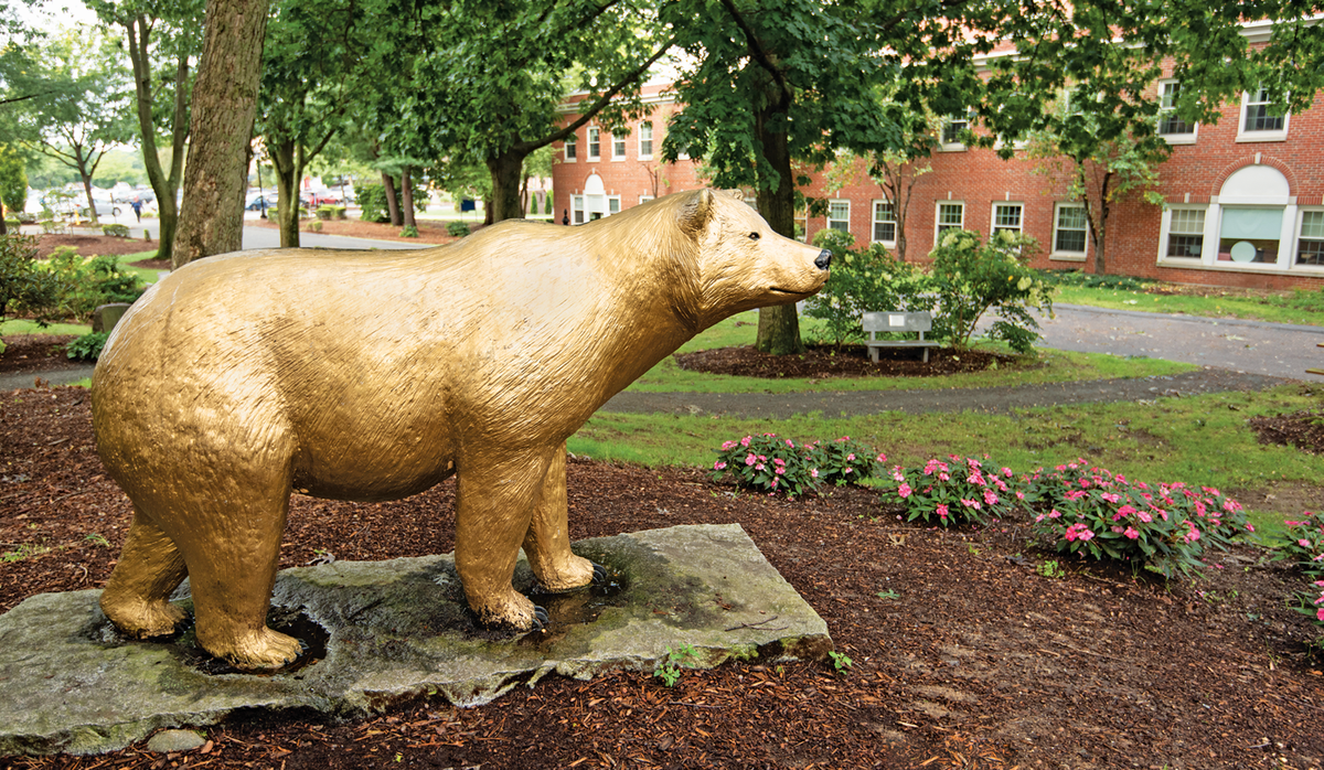 Parking St. Lawrence Saints at Brown Bears Mens Hockey, Meehan ...