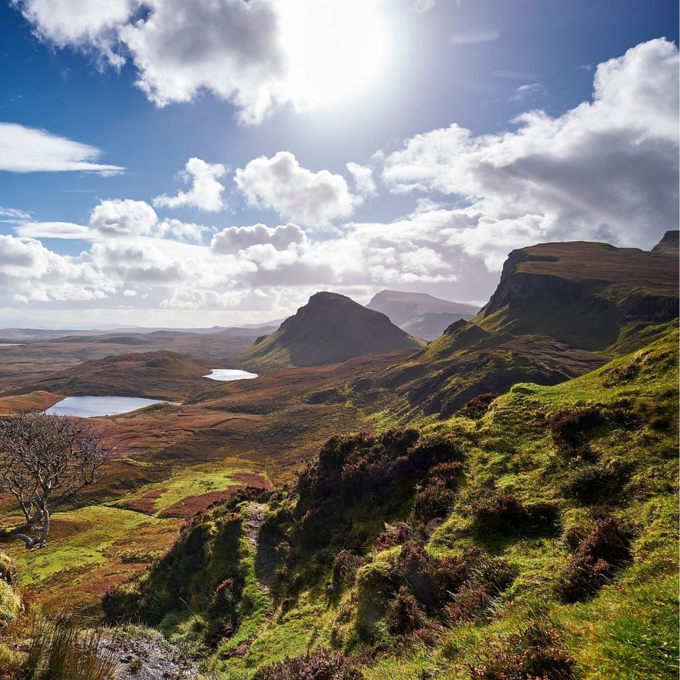 St Andrews Day 3-Course Set Menu, Stallingborough Grange Hotel, Grimsby ...