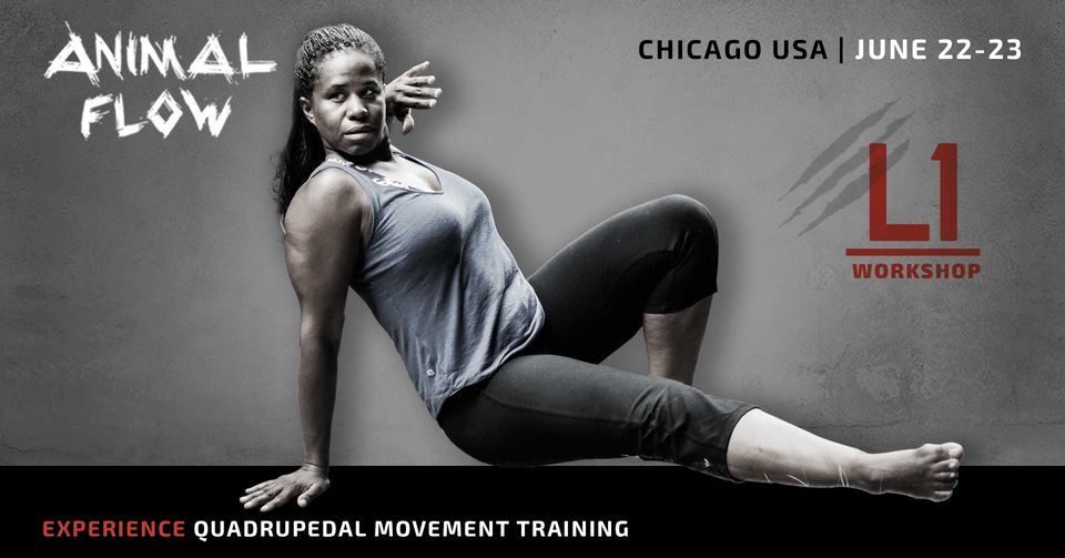 Animal Flow L1 Chicago, Chicago Multi-Cultural Dance Center (CMDC ...