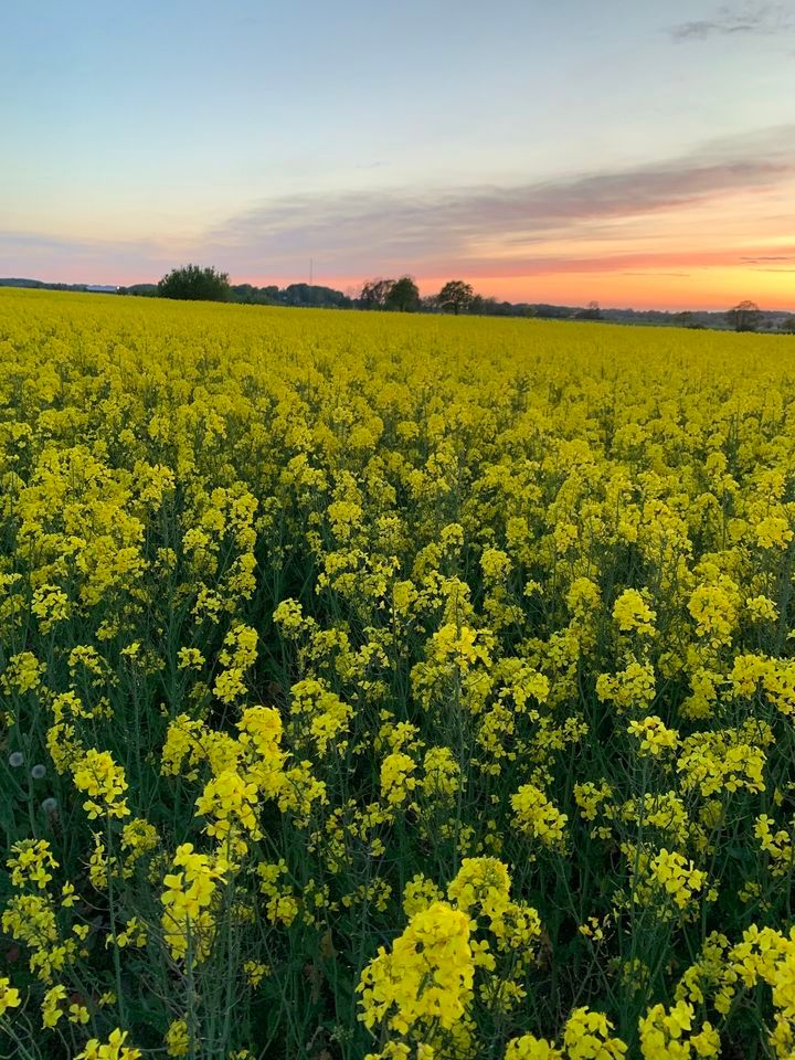 Bioenergiterapi Varberg (Hunnestad) i grupp (max 5 personer), Hunnestad ...