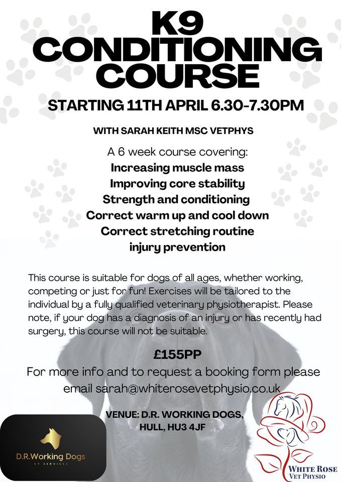 K9 conditioning course, DR working dogs, HU3 4JF, Kingston Upon Hull ...