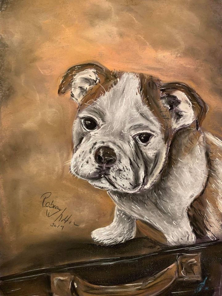 Draw Your Own Pet Class with Instructor Rebecca Whitman, Stilettos Fine ...