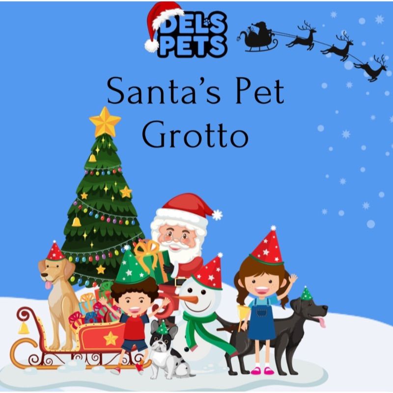 Dels Santa Paws Pet Grotto, Delspets.com, Mansfield, 11 November 2023 ...