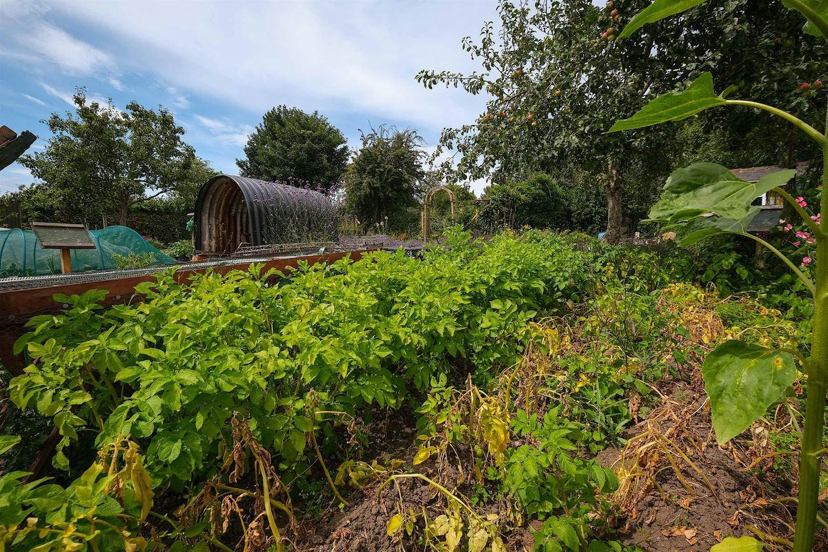 Guided Heritage Tour of St Anns Allotments, St Ann's Allotments ...