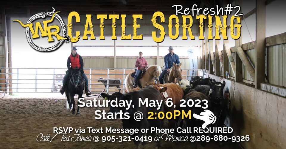 Cattle Sorting REFRESH#2 at Willoughby Ranch - NOTE DATE & TIME ...