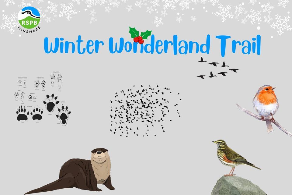 Winter Wonderland Trail at RSPB Minsmere, RSPB Minsmere, 7 December ...