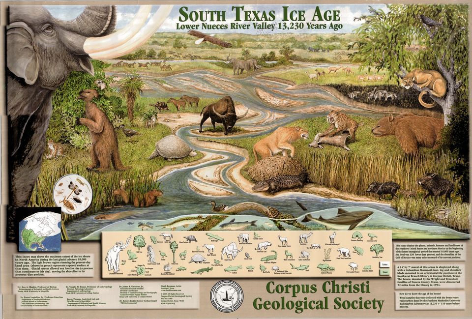 Porch Talks: Touch a Wooly Mammoth - Pleistocene Fossils of South Texas ...
