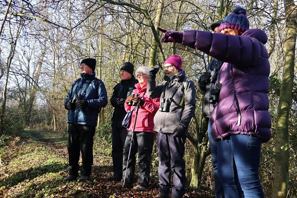 Nene Wetlands Wildlife Wander (5th August), Nene Wetlands Visitor ...