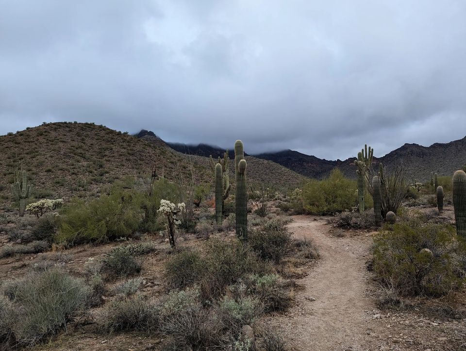 Hike - Treasure Loop-Prospector vis Jscobs Crosscut, First Water ...