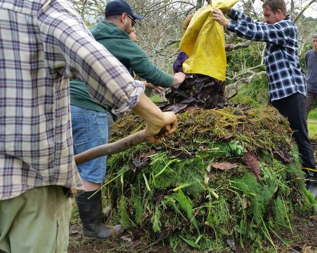 Plant Propagation & Composting Practical Workshop, Matakana, Auckland ...