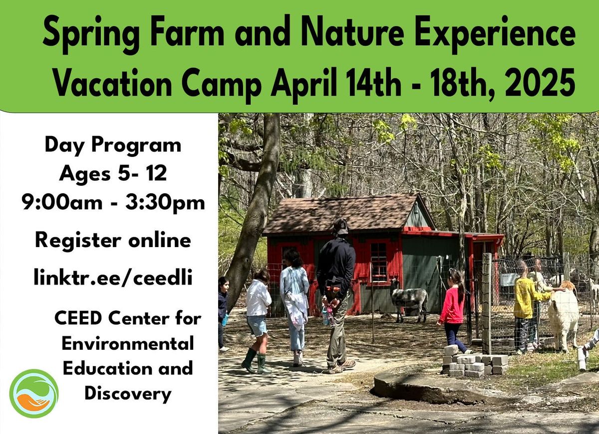 12 Against Nature - Steely Dan Experience, 3rd & Lindsley, Nashville ...