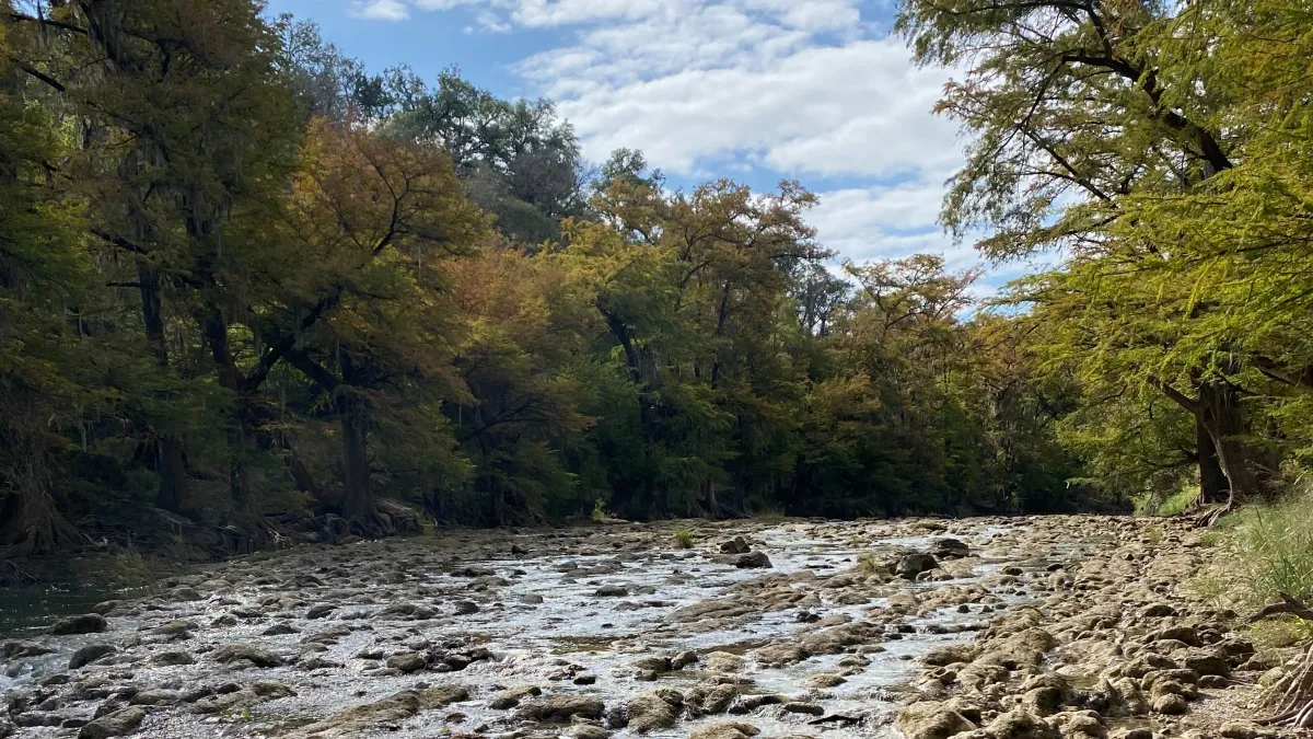 Hike the Bauer Unit of Guadalupe River State Park, Guadalupe River ...