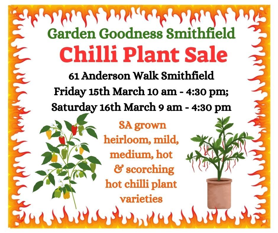Smithfield Chilli Plant Sale, Garden Goodness Smithfield, Adelaide, 15 ...