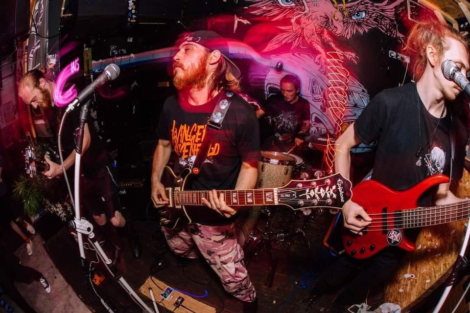 All Demons Have Disciples, Löser, 2 Dead Dogs - special video/showcase ...