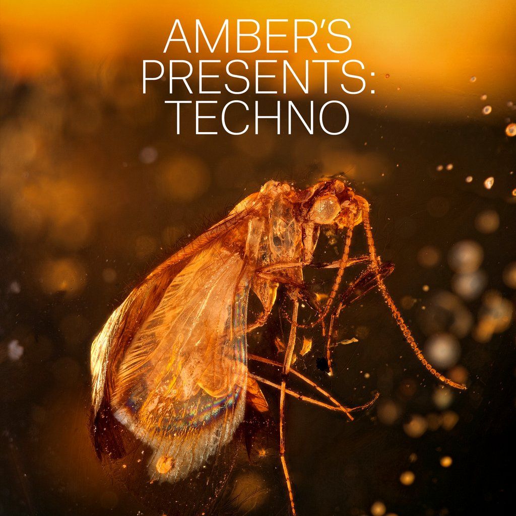Ambers Presents: Techno, Amber's, Manchester, 5 April to 6 April ...
