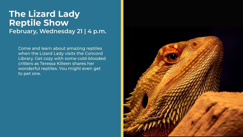 The Lizard Lady Reptile Show, 2900 Salvio St Concord, CA, United States ...