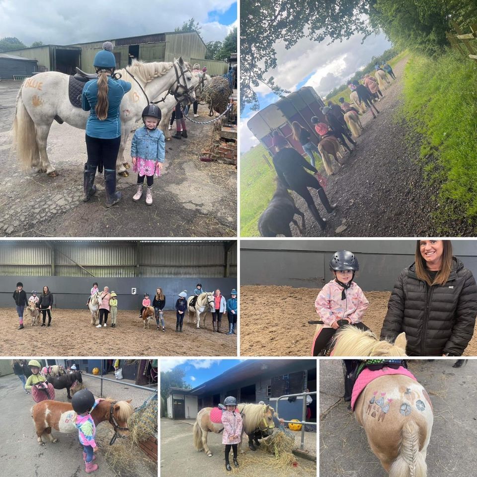Mini me sessions , Burnbank Equestrian Centre, Hamilton, 26 January ...