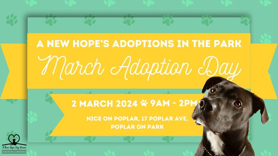 Adoptions in the Park- March Adoption Day 2024, Poplar on Park, Sandton ...
