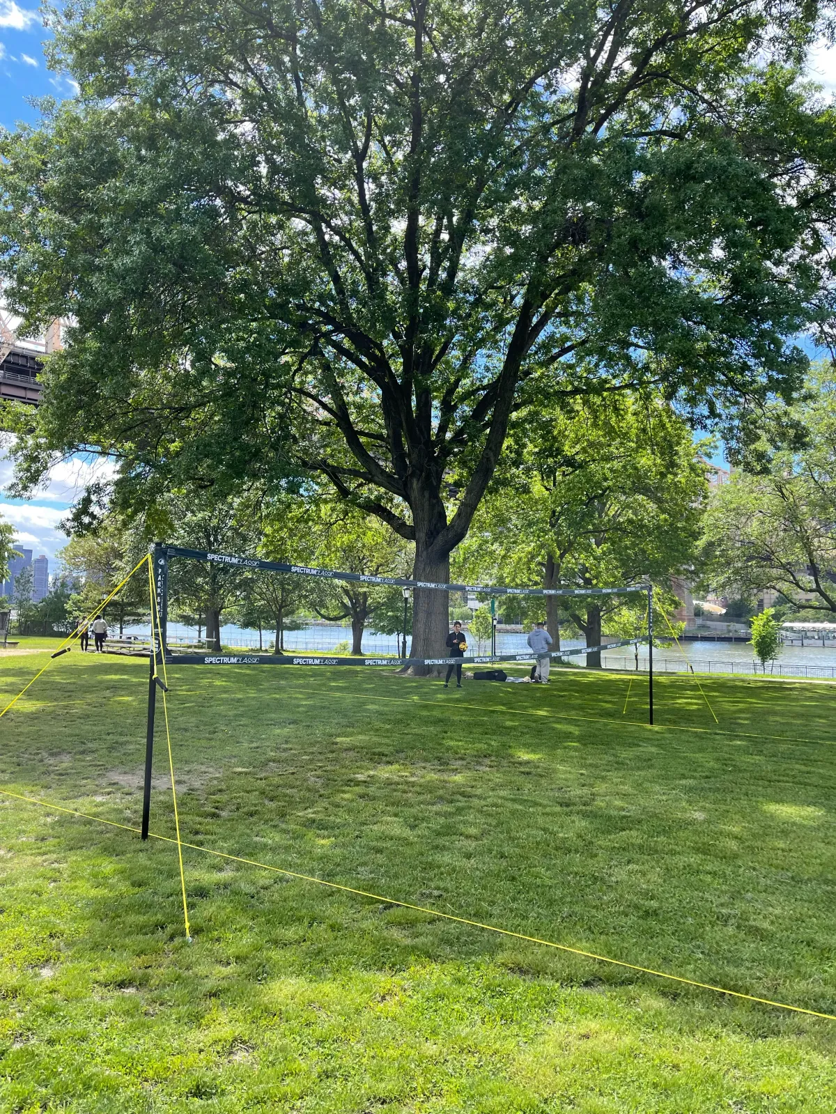 Queens bridge Park volleyball ? on Sunday, Queensbridge Park, Long ...
