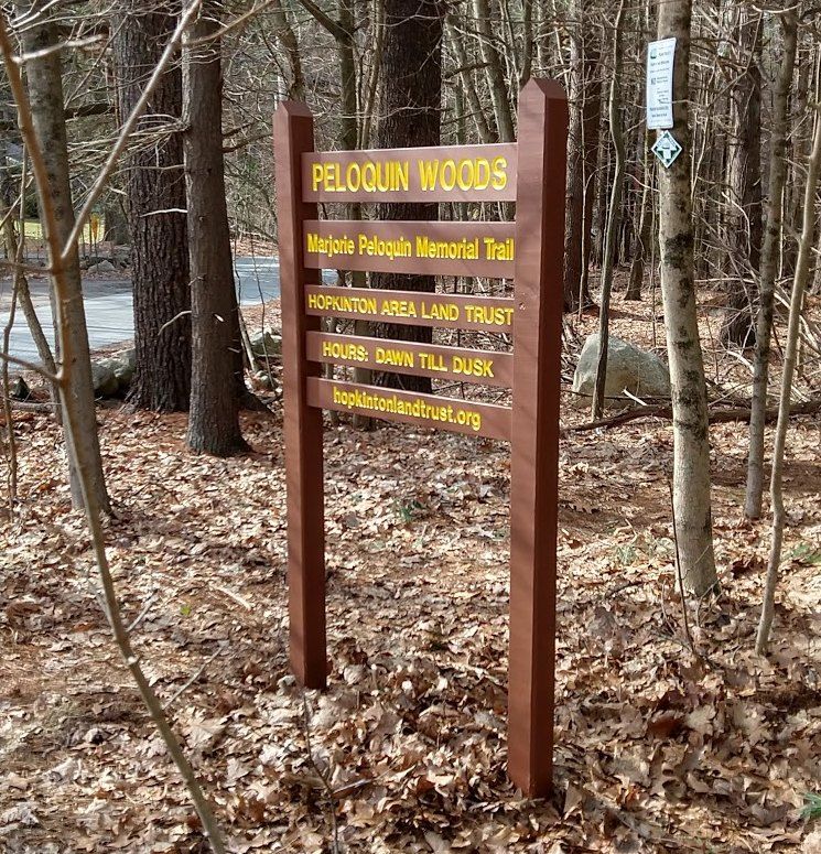 Peloquin Woods walk, Peloquin Woods, Hopkinton, February 10 2024 ...
