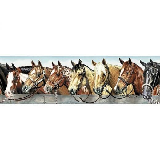 Western Schooling Show, 608 N Tollgate Rd, Bel Air, MD 21014, United ...