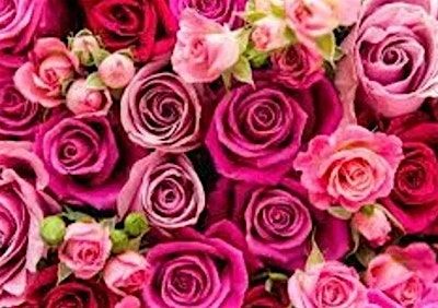 Valentines Date Night: Heart Shaped Ravioli, Cookology Culinary School ...