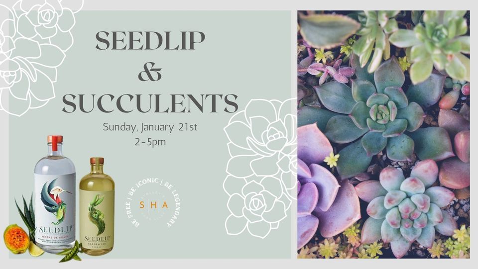 Seedlip & Succulents, 2008 Venice Beach Rd Delafield, WI, United States ...